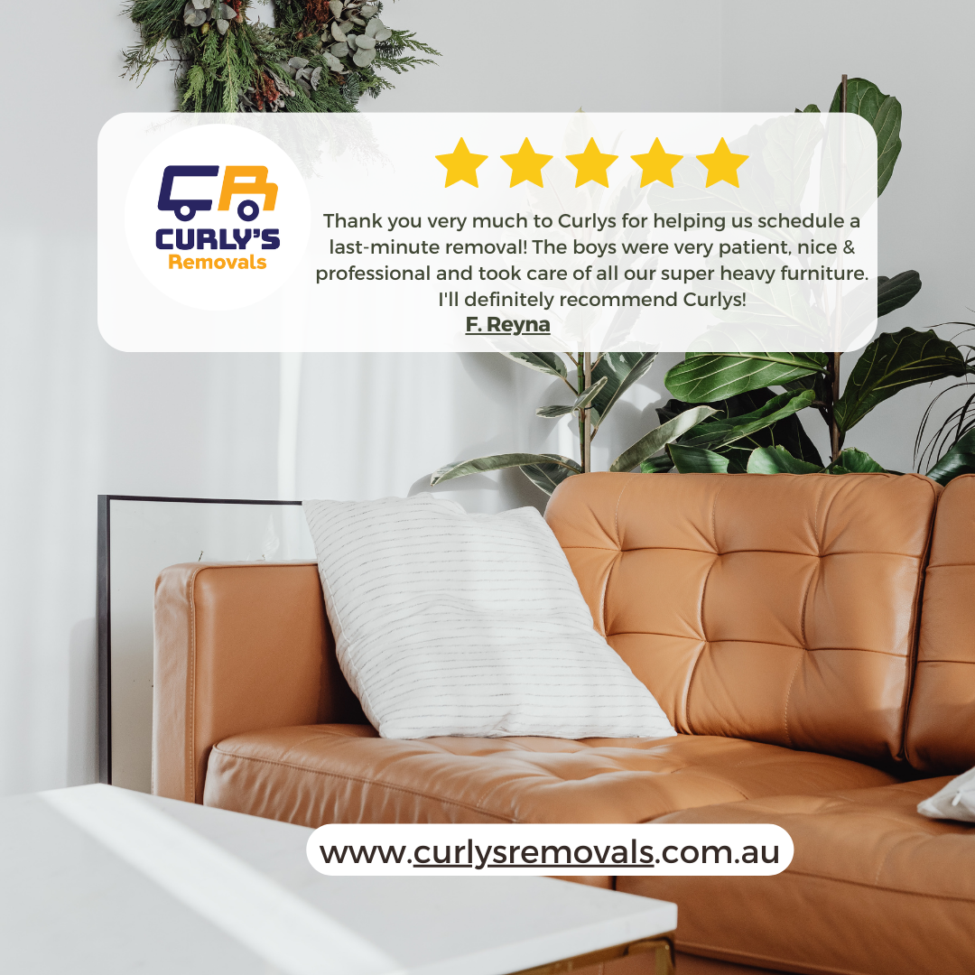How to find the best removalist - should I believe the reviews? | Curly ...